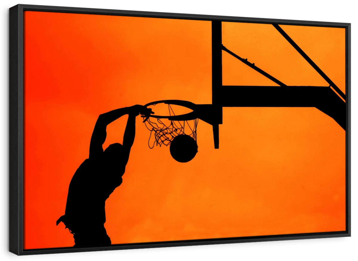 Elephant Stock Basketball Dunk Shadow Canvas Print | Wayfair