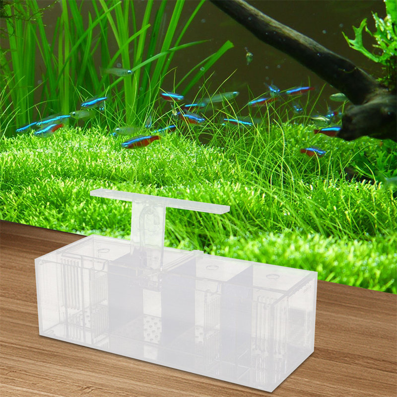 Tucker Murphy Pet™ Daythan Rectangle Acrylic 4-Grid Desktop Fish Tank ...