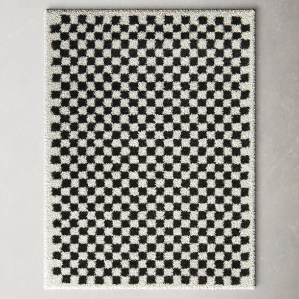 AllModern Walker Checkered Rug & Reviews | Wayfair
