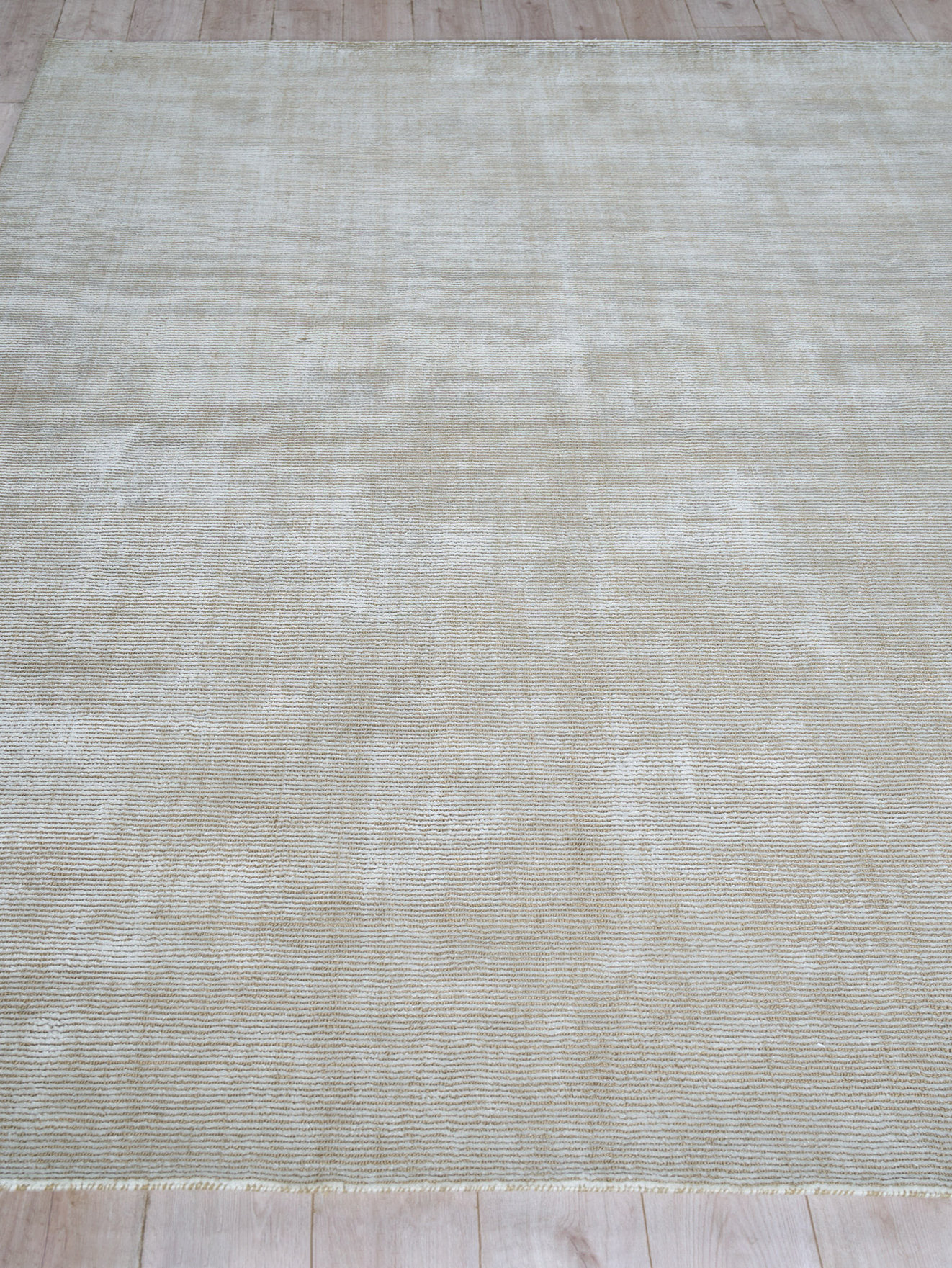 Exquisite Rugs Serenity Handmade Handloomed Nylon/ Bamboo Silk Beige ...