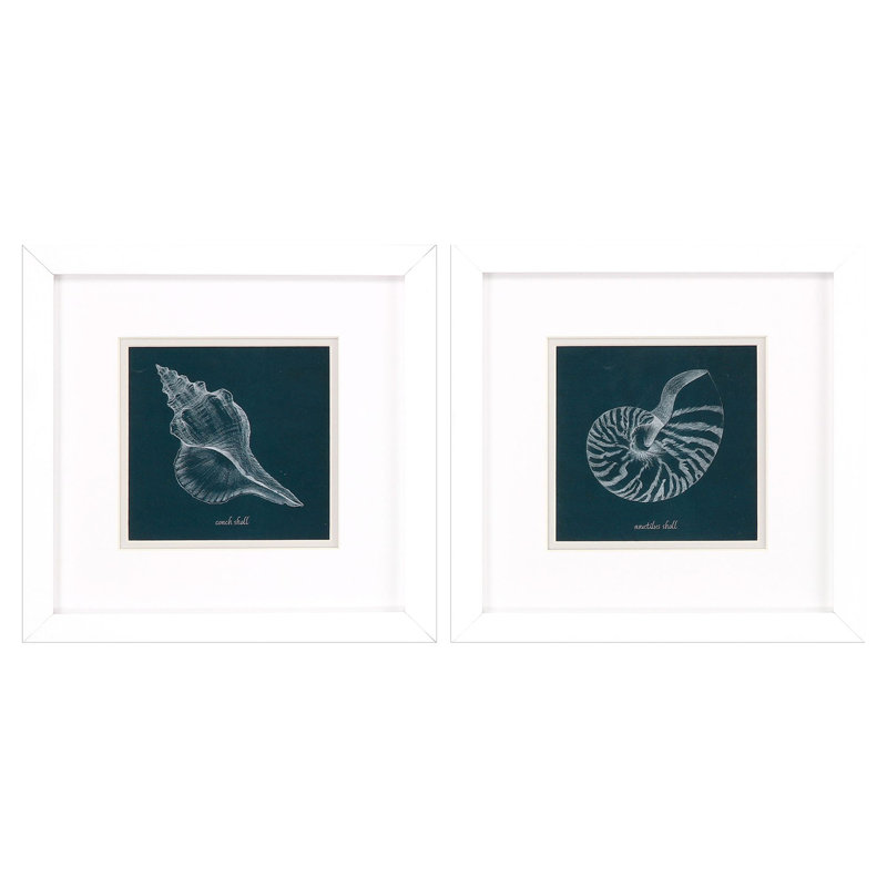 Highland Dunes Shell Study On Teal A S/2 Framed 2 Pieces by Popp Print ...