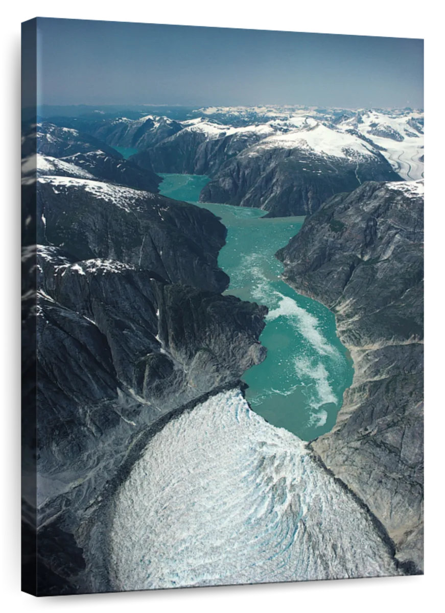 Millwood Pines Alvord Tracy Arm Fjord Alaska | Wayfair