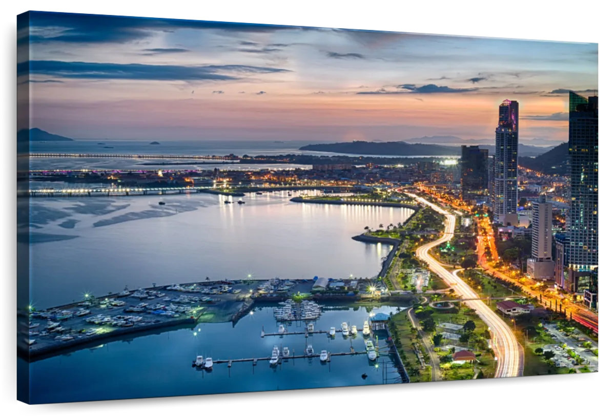 Elephant Stock Avenida Balboa | Wayfair