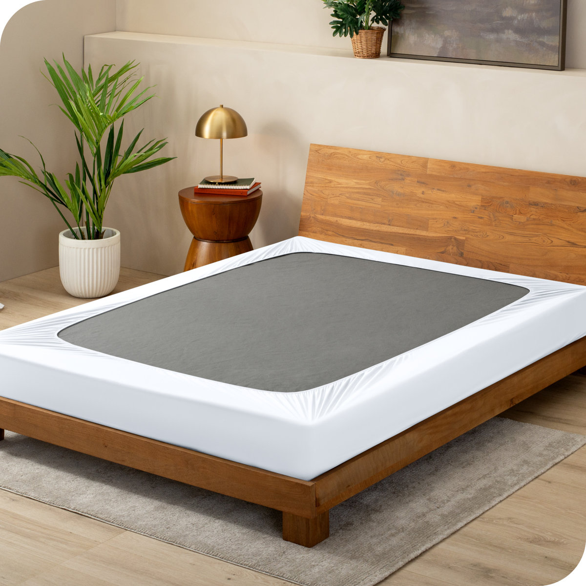 Bare Home Wrap Around Box Spring Cover & Reviews | Wayfair