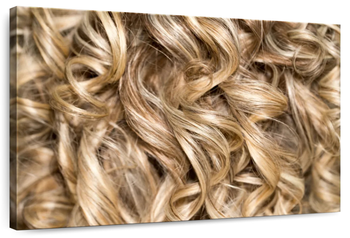 Mercer41 Shuttleworth Golden Curly Hair - Wayfair Canada