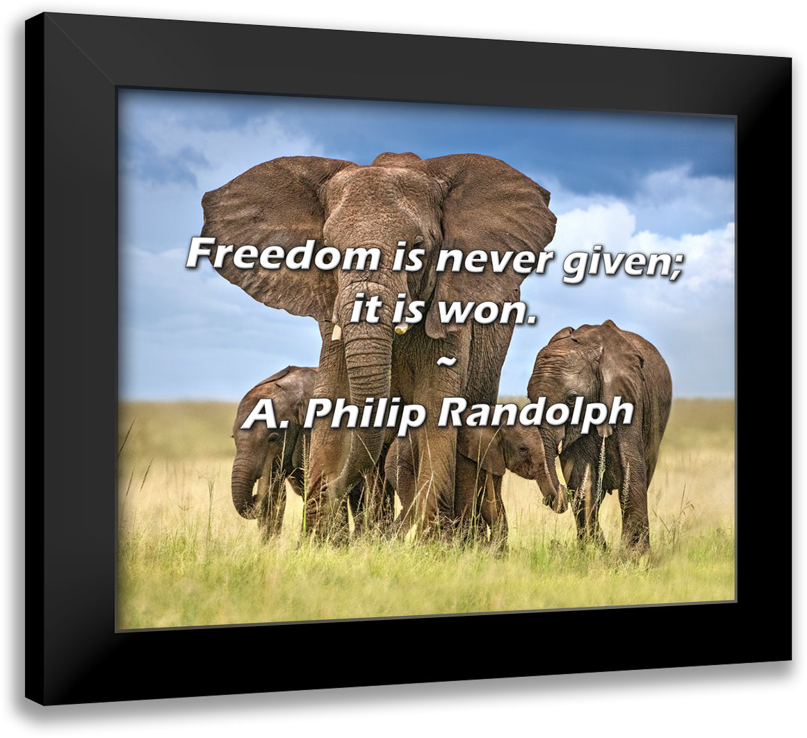 Latitude Run® A. Philip Randolph Quote: Freedom is never given; it is ...