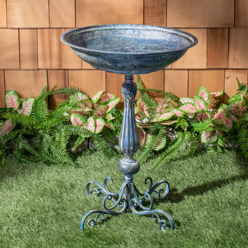 Bird Baths You'll Love | Wayfair