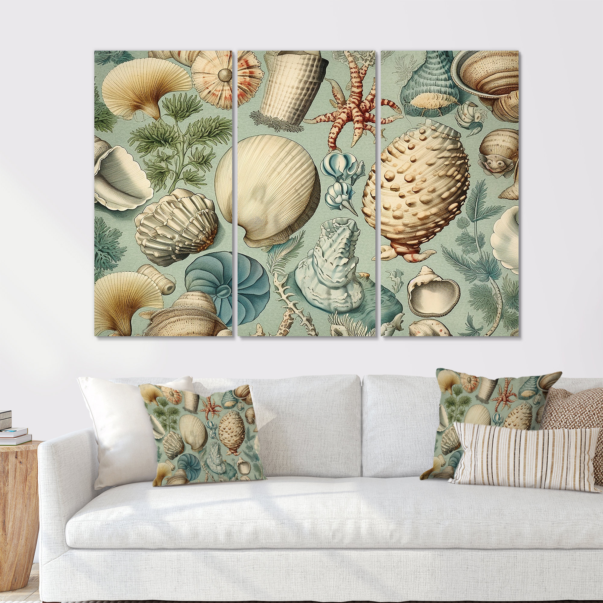 Dovecove Vintage Seashell Treasures - Seashell Wall Decor Set | Wayfair