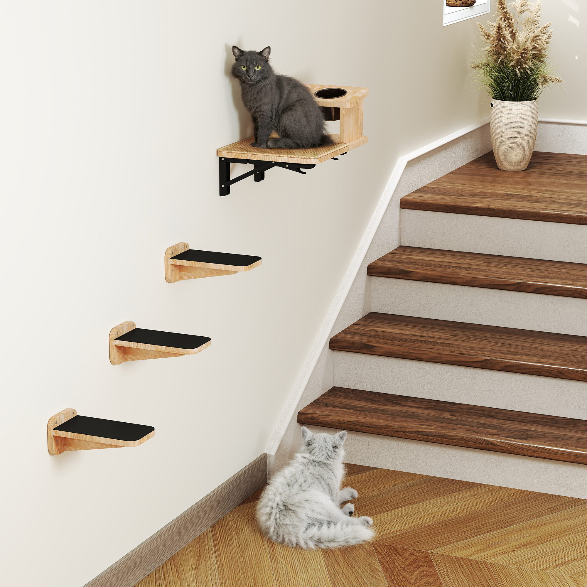 Tucker Murphy Pet™ Wall Mounted Wood Cat Climber Set with 3 Steps and ...