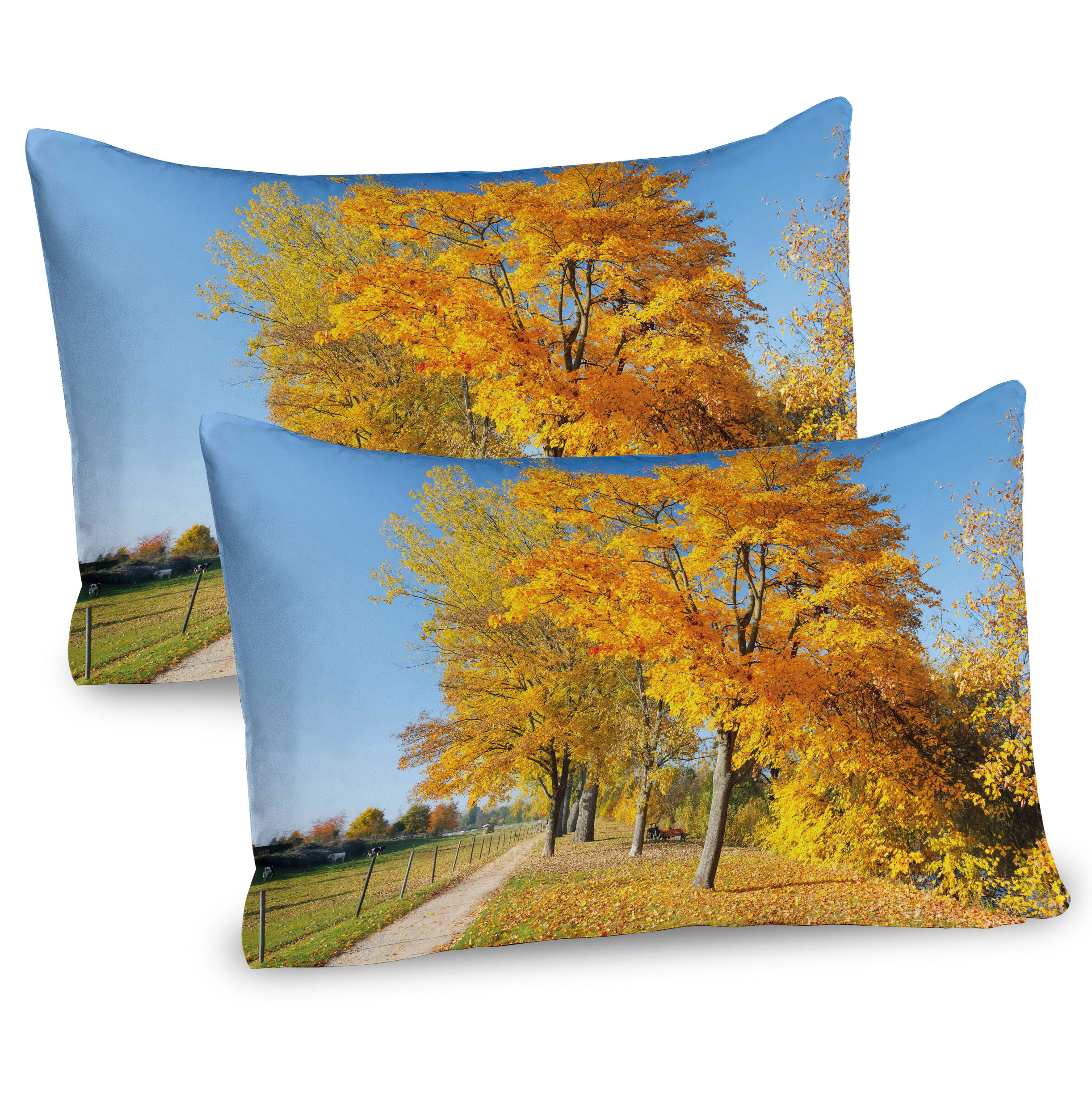 Ambesonne Fall Pillow Sham 2 Pack Maple Trees Countryside Pale Blue ...