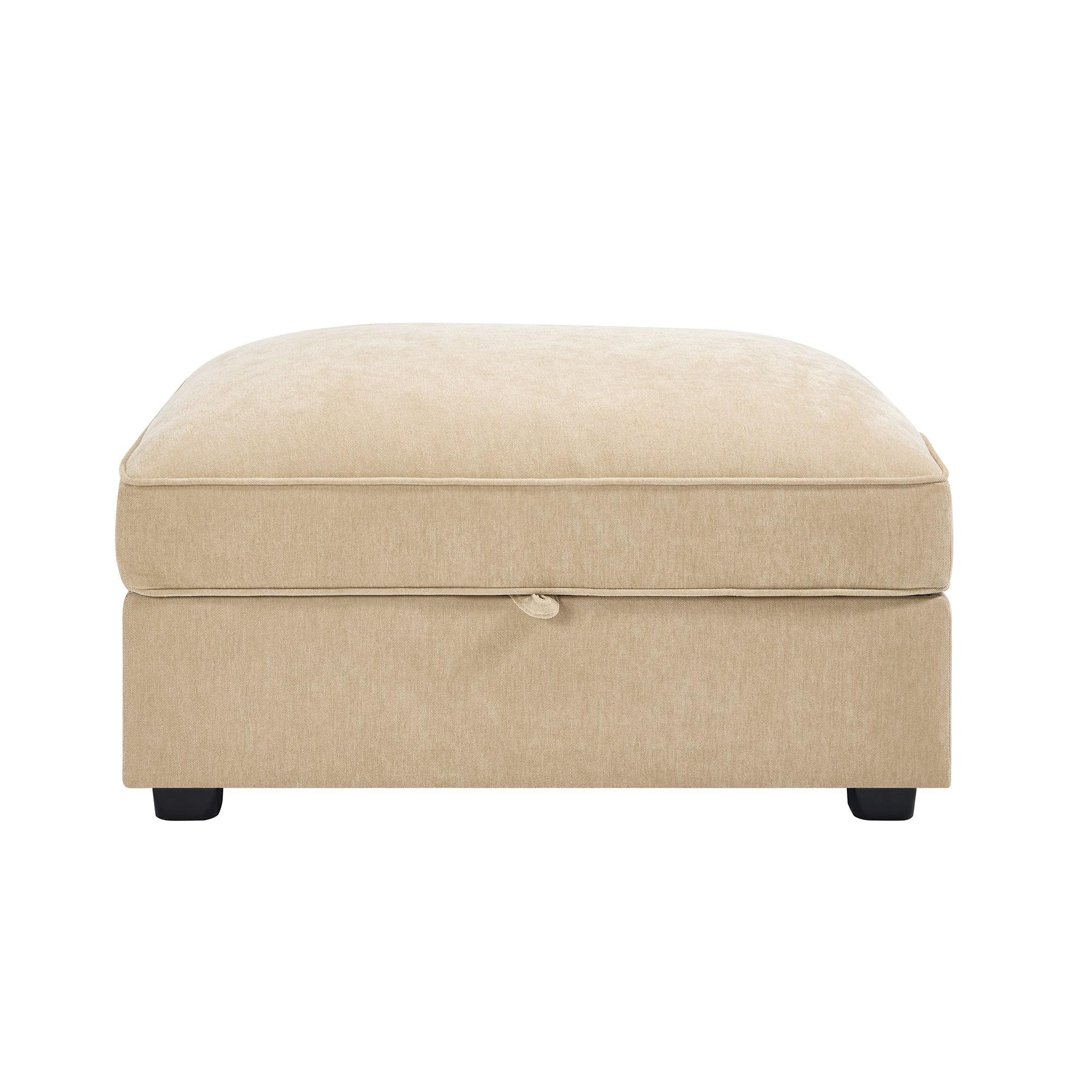 Latitude Run® Modern Minimalist Storage Ottoman - Wayfair Canada