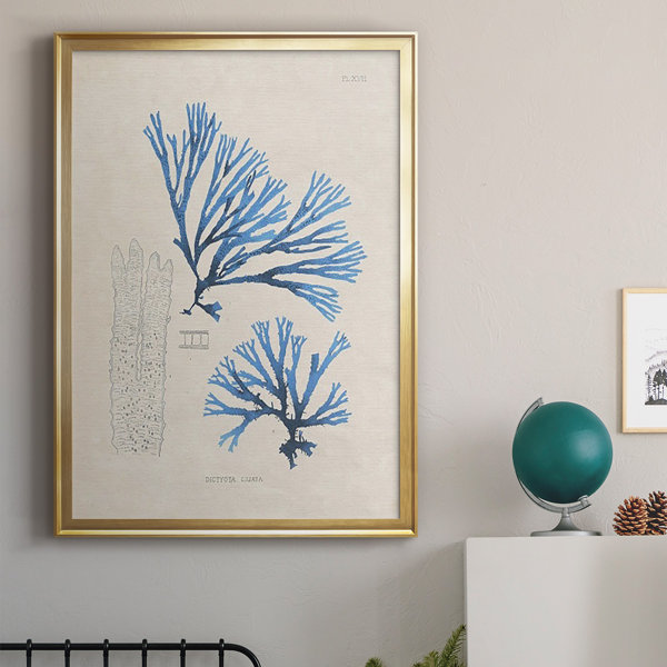 WexfordHome Blue Marine Algae V " Blue Marine Algae V " - Wayfair Canada