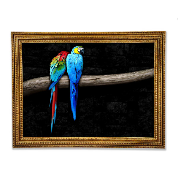 Bay Isle Home Pair Of Parrots - Single Picture Frame Art Prints ...