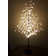 Hi-Line Gift Ltd. Holiday Lightings & Reviews | Wayfair