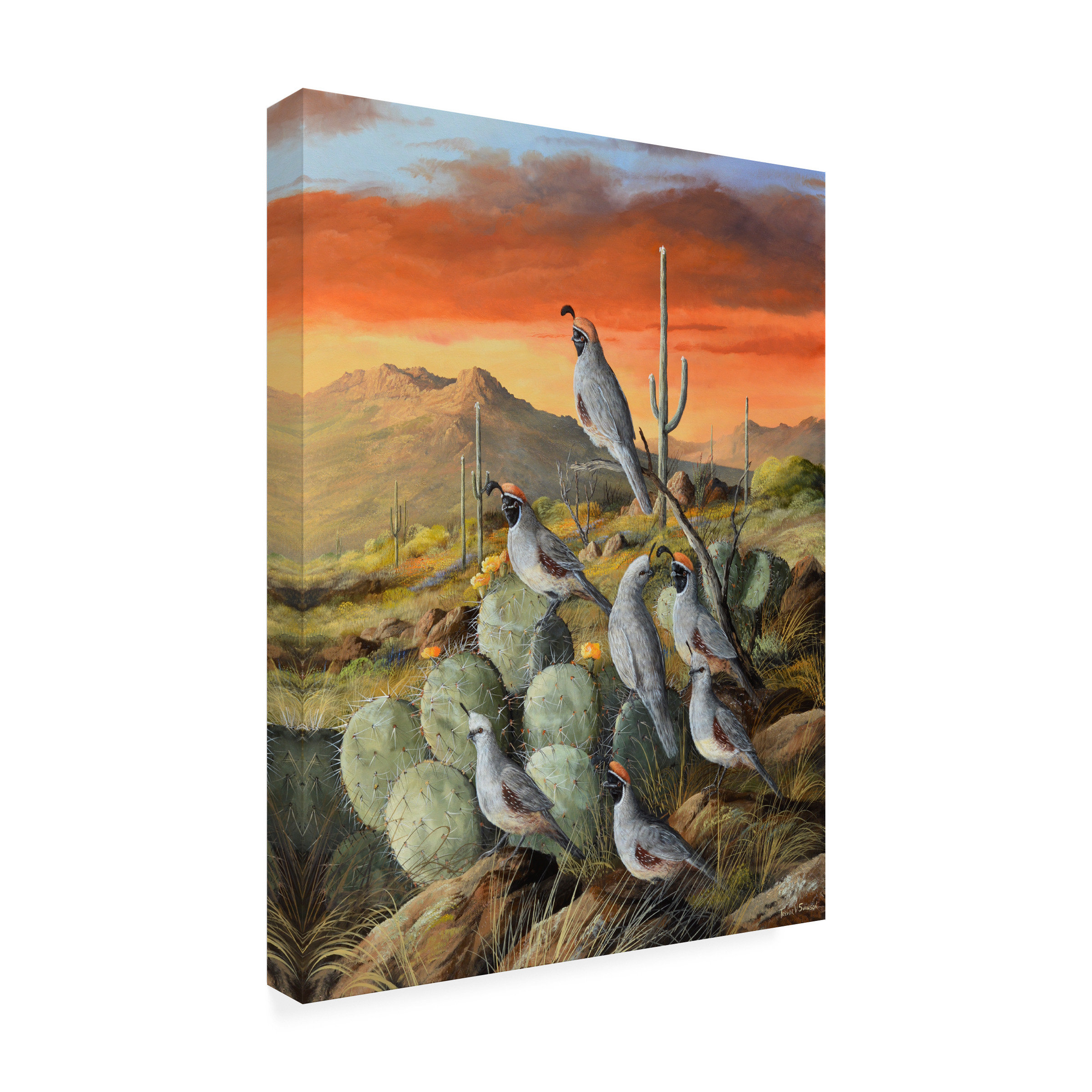 Winston Porter Trevor V. Swanson 'Sunset In Spring 3' Canvas Art | Wayfair