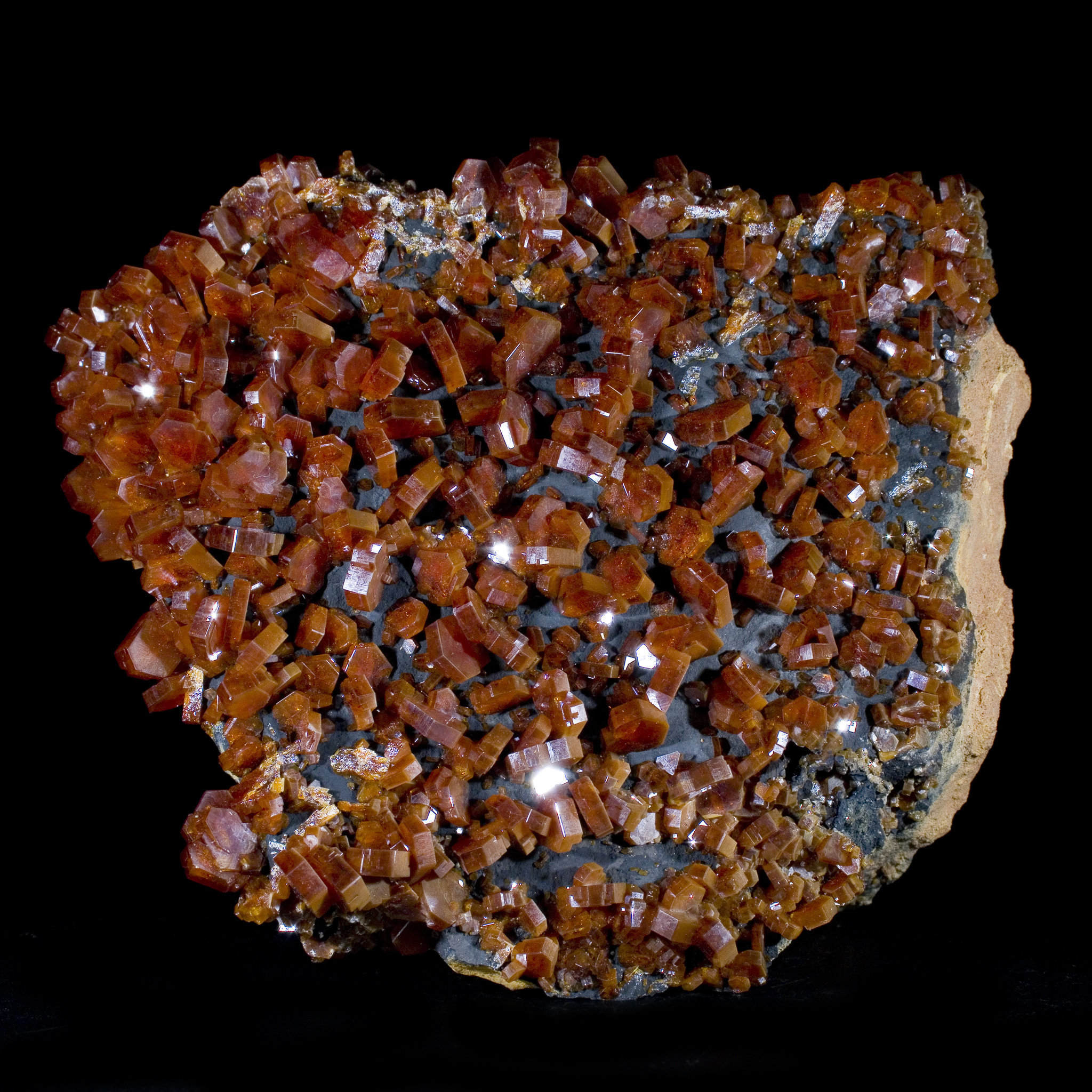 Studio Mineralia Vanadinite on Goethite Crystal | Wayfair