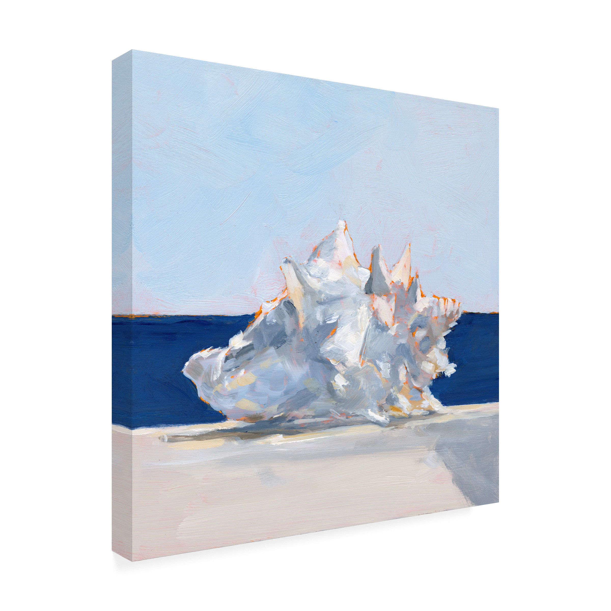 Highland Dunes Shell By The Shore I On Canvas by Ethan Harper Canvas ...