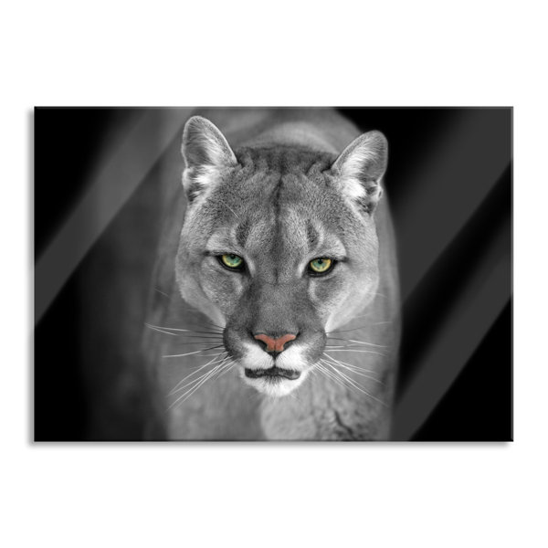 Brayden Studio Menacing Puma Close-up - No Frame Print on Glass ...