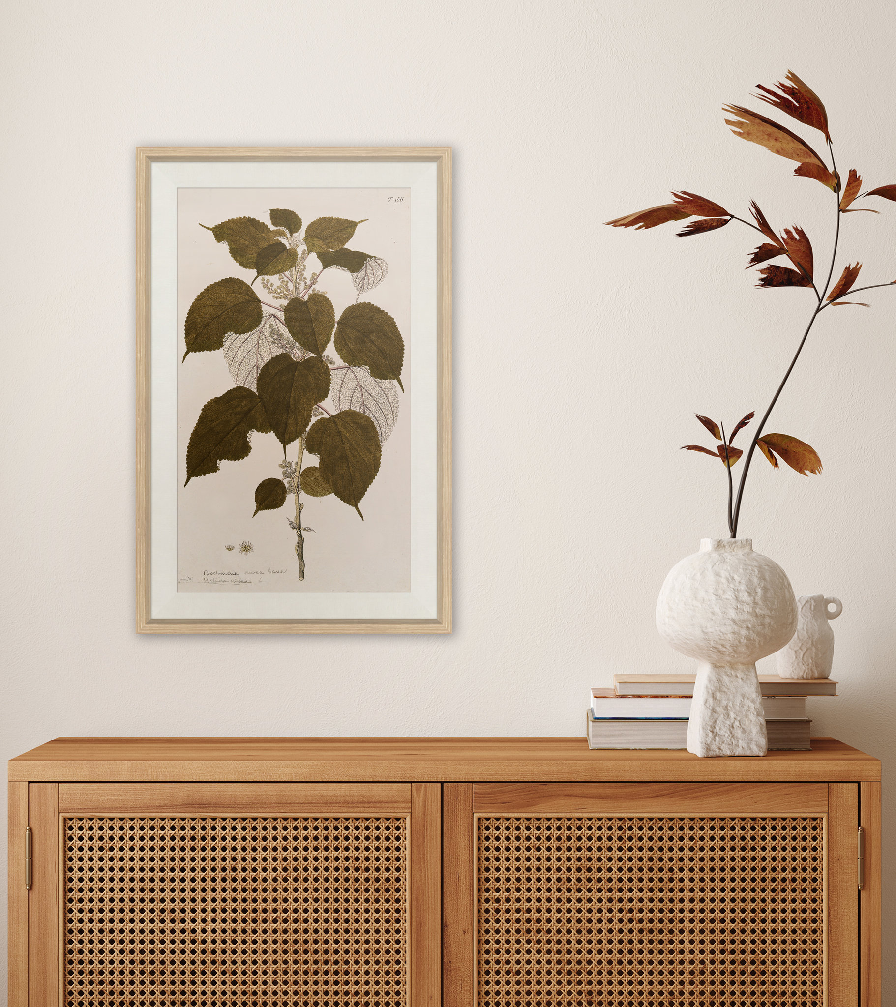 Soicher Marin 17th Century Leaf Studies II - Single Picture Frame ...