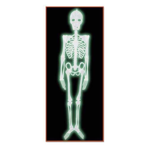 Skeleton | Wayfair