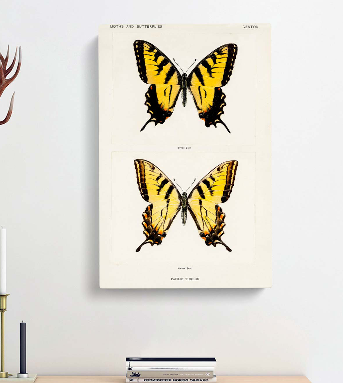 East Urban Home Eastern Tiger Swallowtail Butterfly by S.F. Denton ...