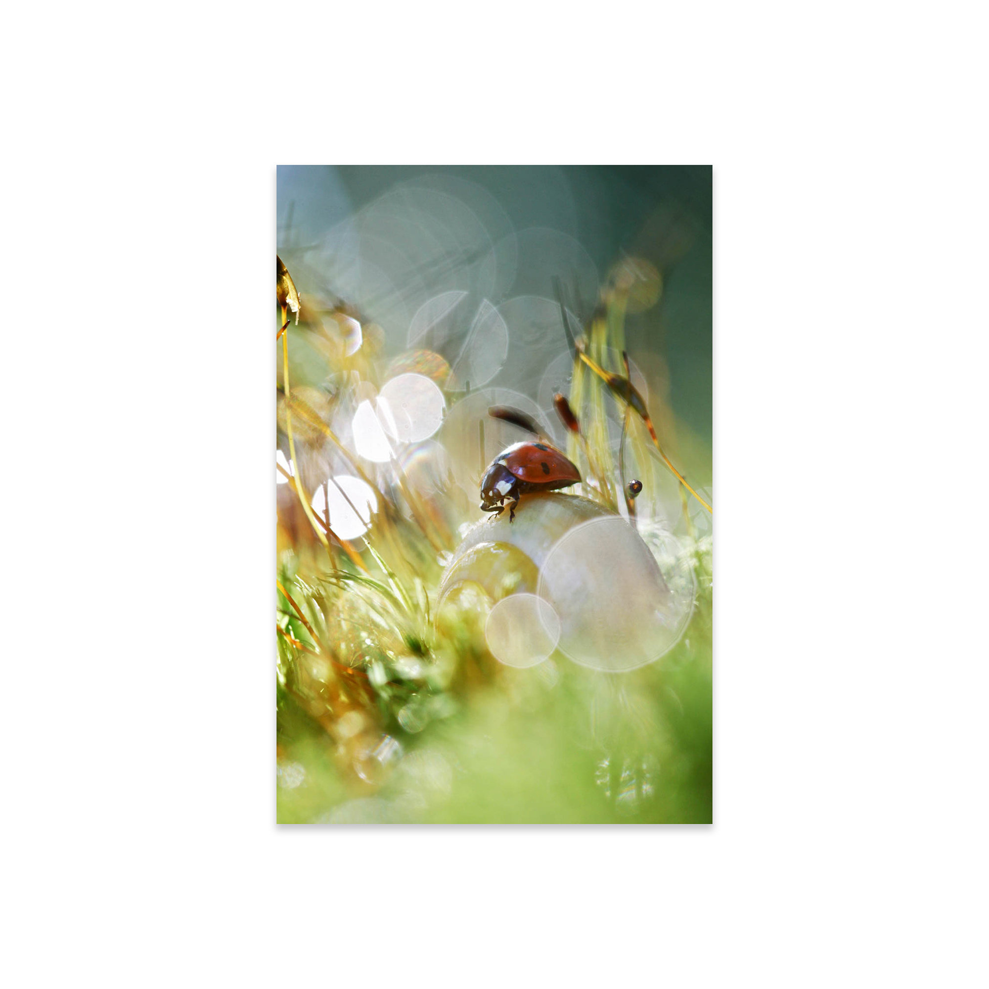 Ebern Designs Once Upon A Time Print On Acrylic Glass - Wayfair Canada