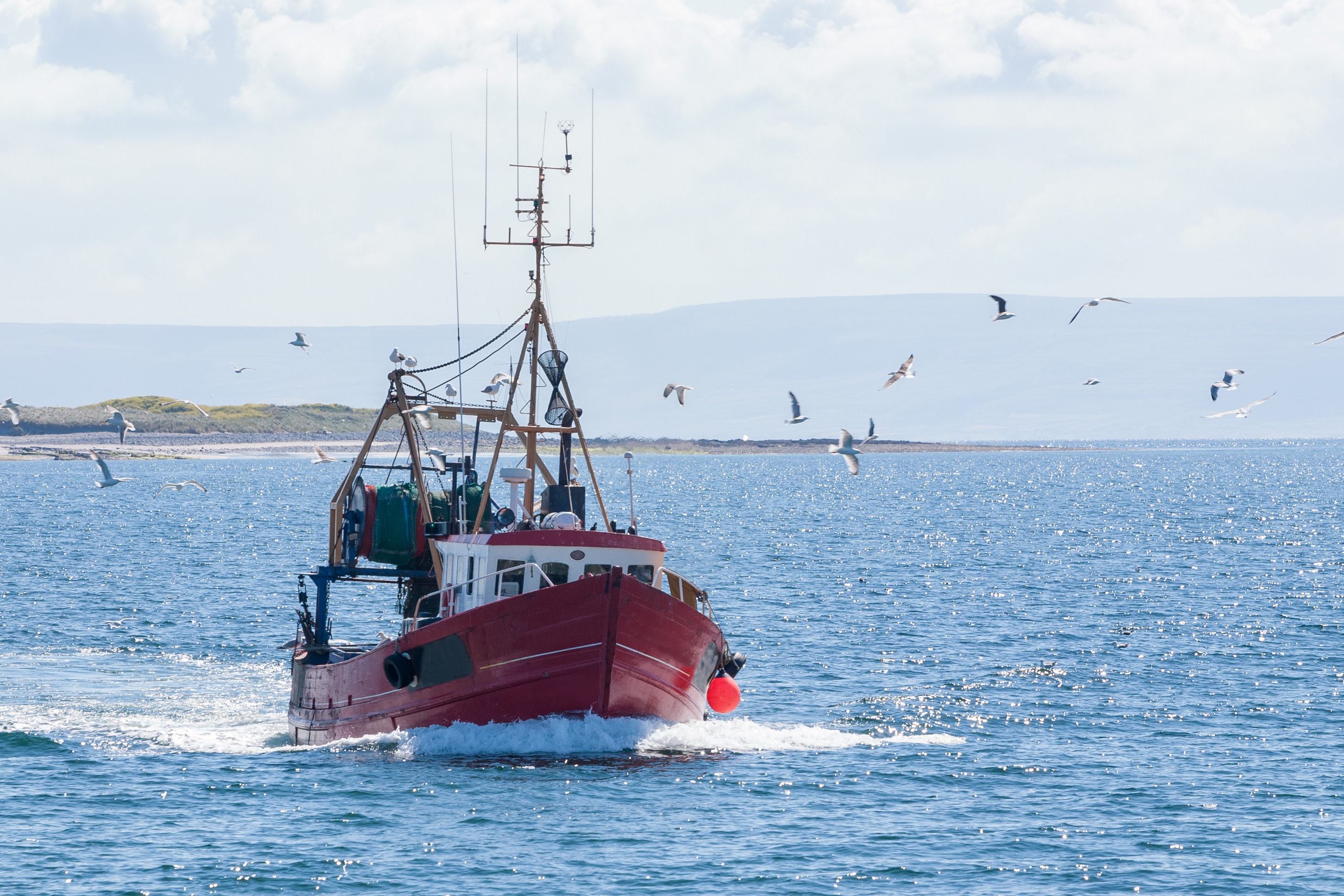 Breakwater Bay Fishing Boat by Mikeuk | Wayfair