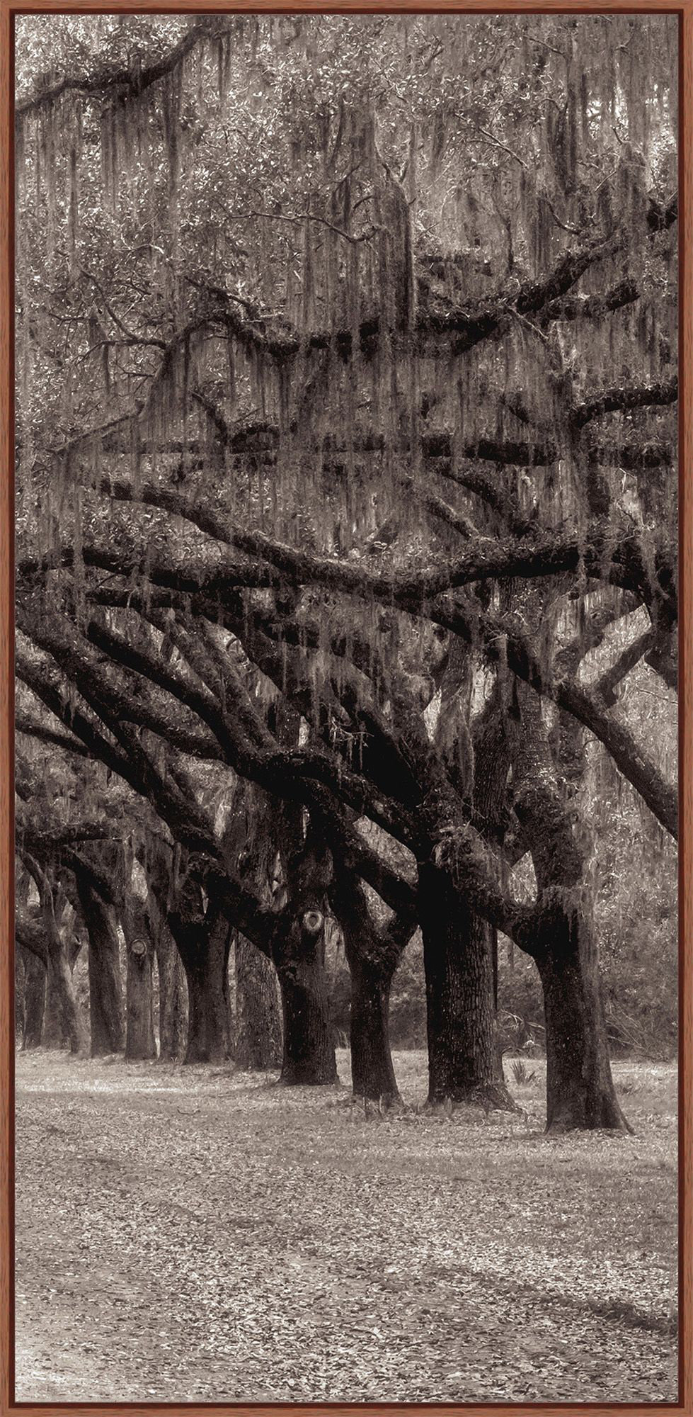 Wendover Art Group Nature's Arch Triptych C | Perigold