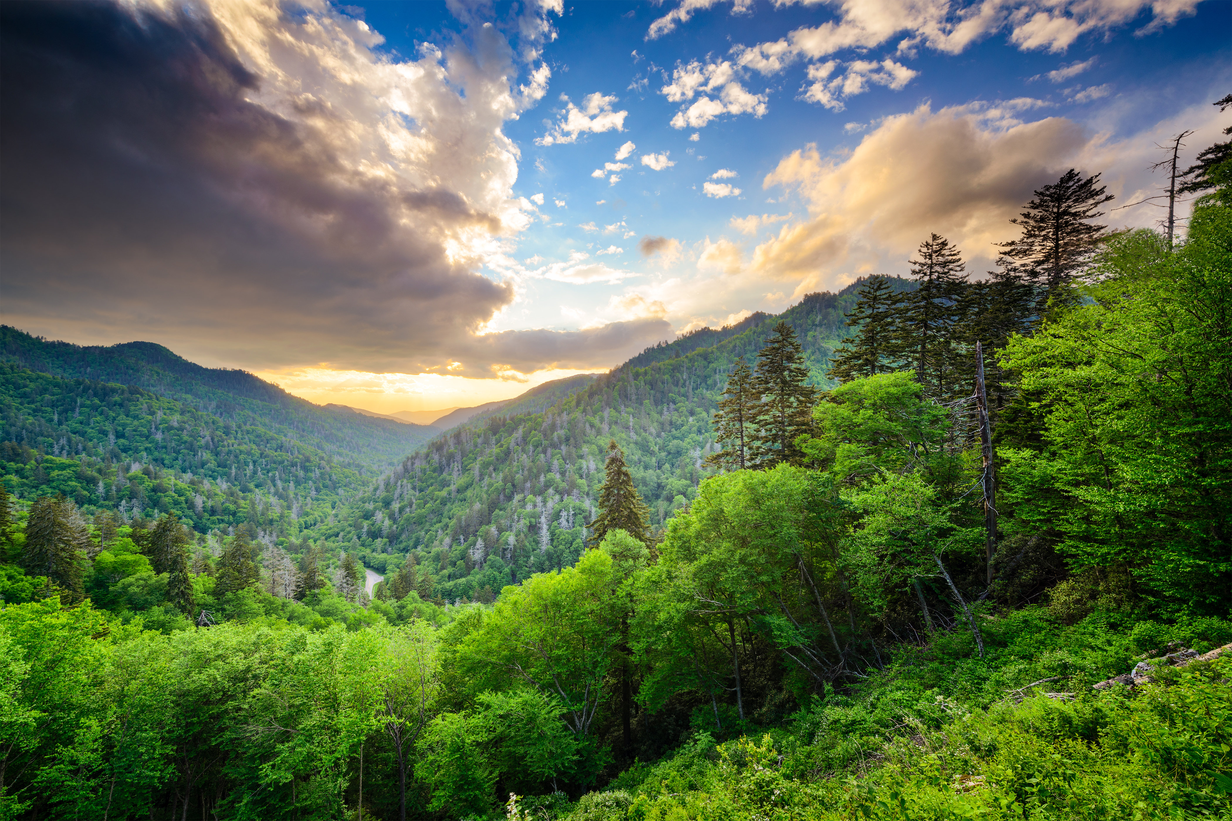 Millwood Pines Amrika Newfound Gap in the Smoky Mountains by ...