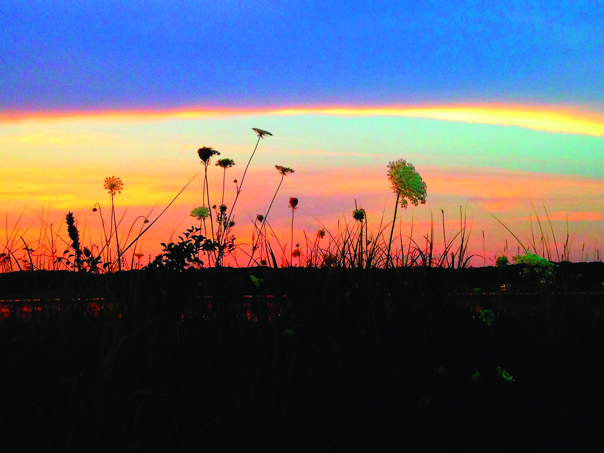 Latitude Run® Sky Meets Earth by Michelle Daegan - Photograph Print ...