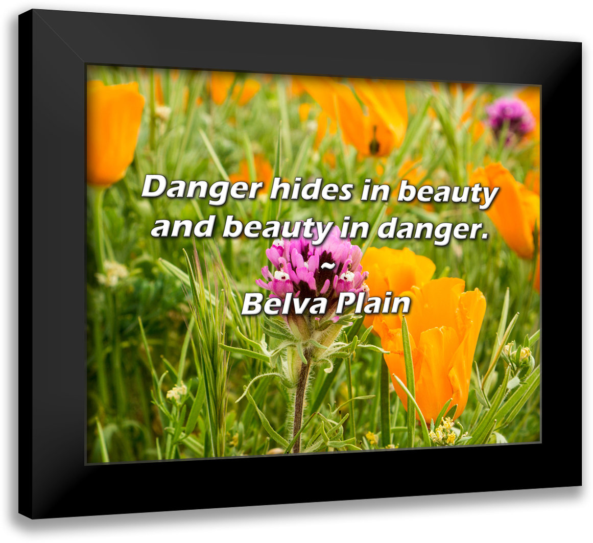 Trinx Belva Plain Quote: Danger hides in beauty and beauty in danger ...