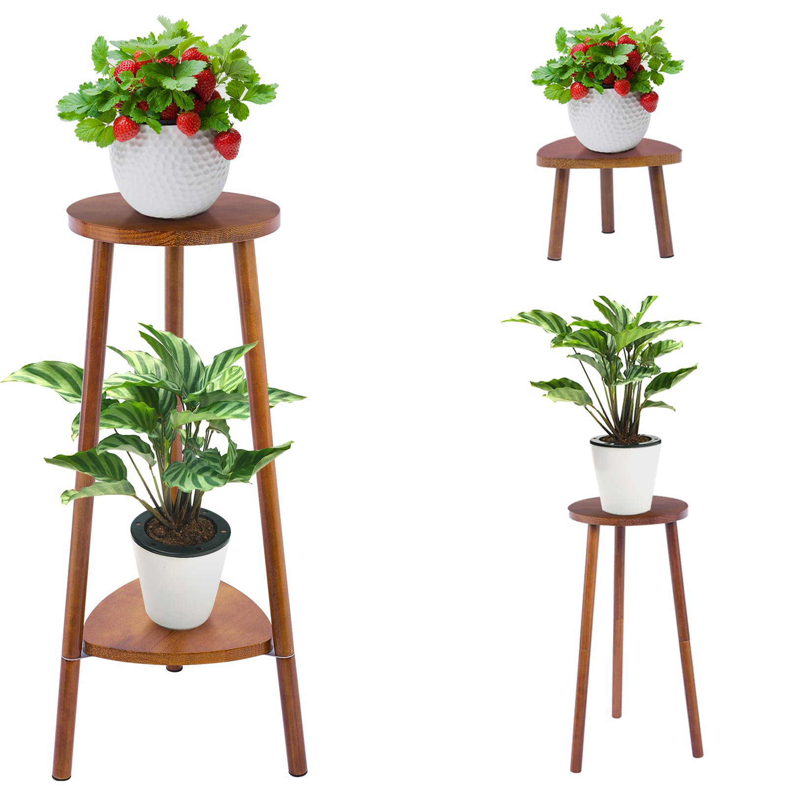 George Oliver 2 Tier Convertible Wooden Indoor Multipurpose Plant Stand ...