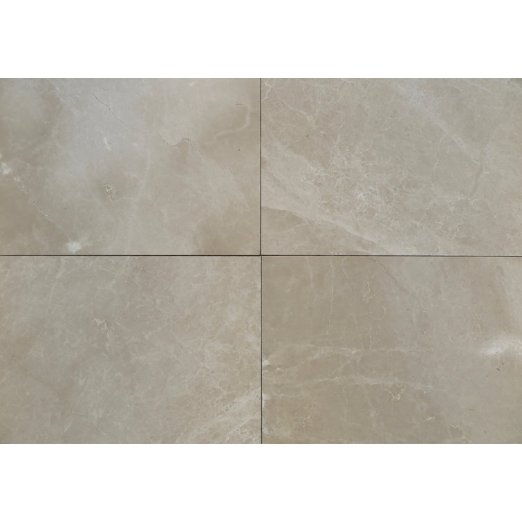 Stone & Tile Shoppe, Inc. 24" x 24" Marble Wall & Floor Tile | Wayfair