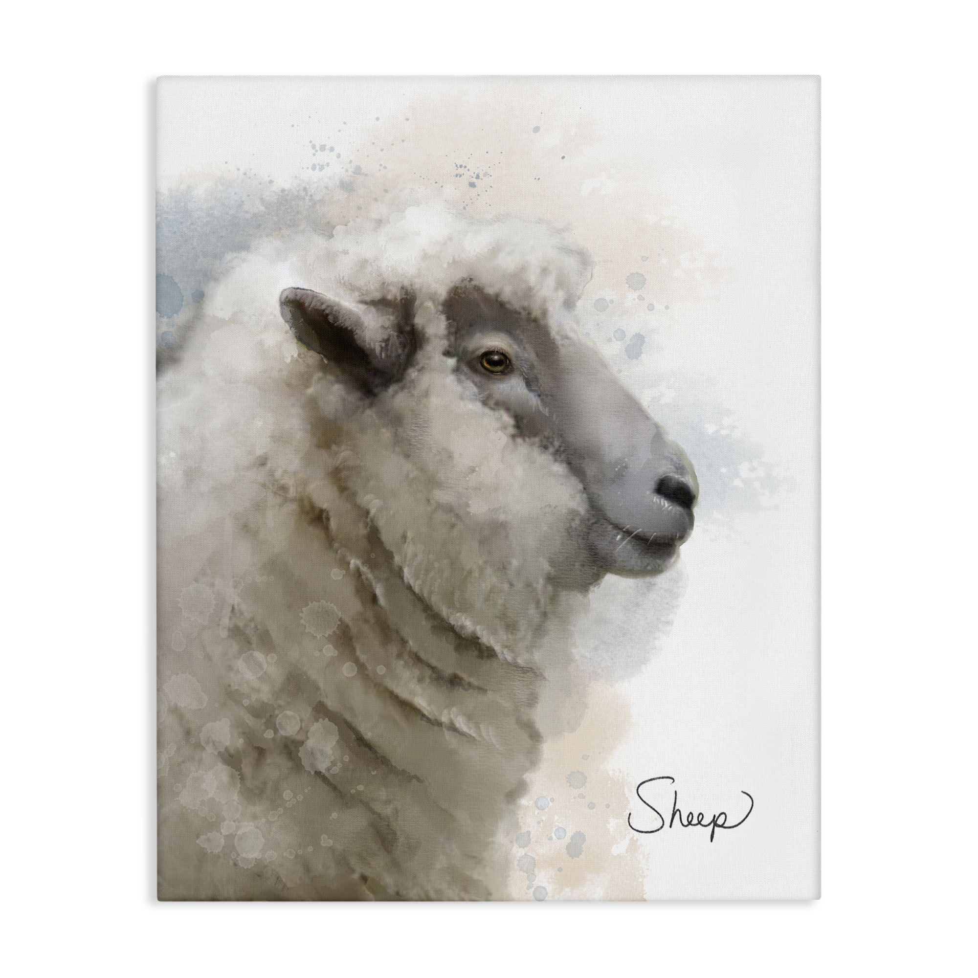 Rosalind Wheeler Smiling Farm Sheep Canvas Wall Art by Matthew ...