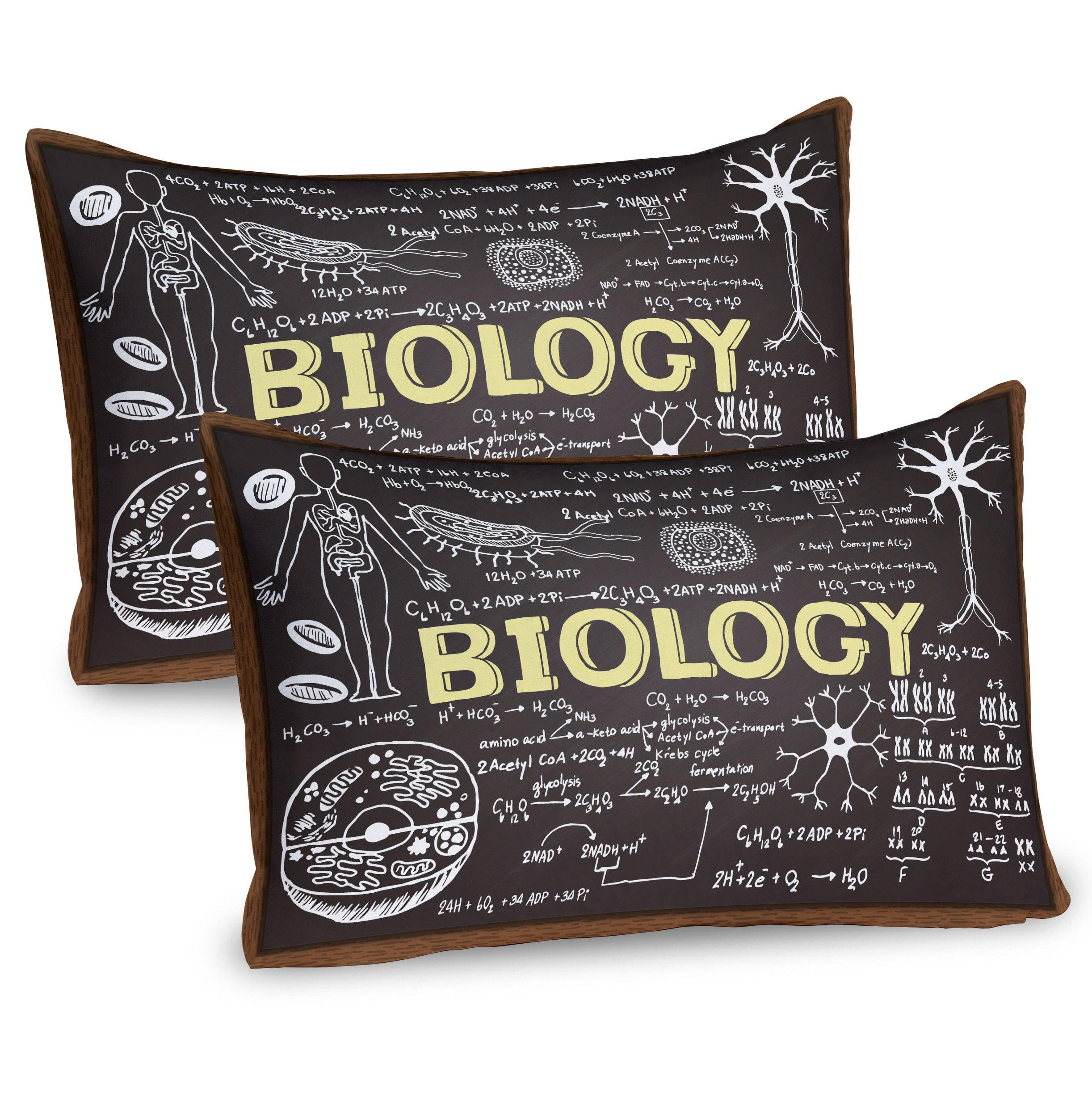 Ambesonne Science Pillow Sham 2 Pack Biology 30"x20" Black Brown Pale ...