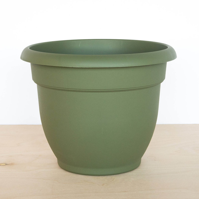 Arlmont & Co. Ariana Traditional Self-Watering Indoor/Outdoor Pot ...
