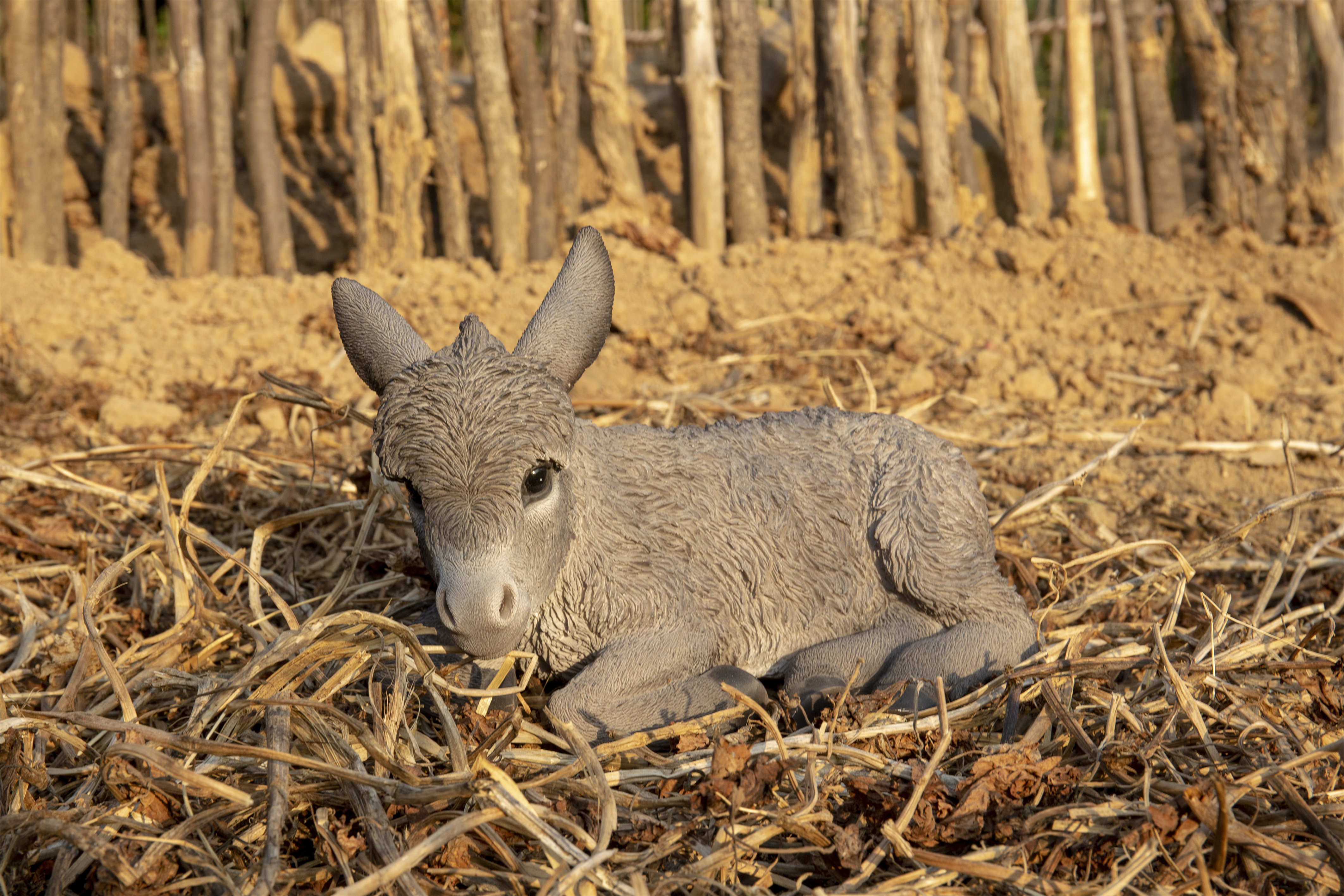 Hi-Line Gift Ltd. Donkey Foal Lying Down & Reviews - Wayfair Canada