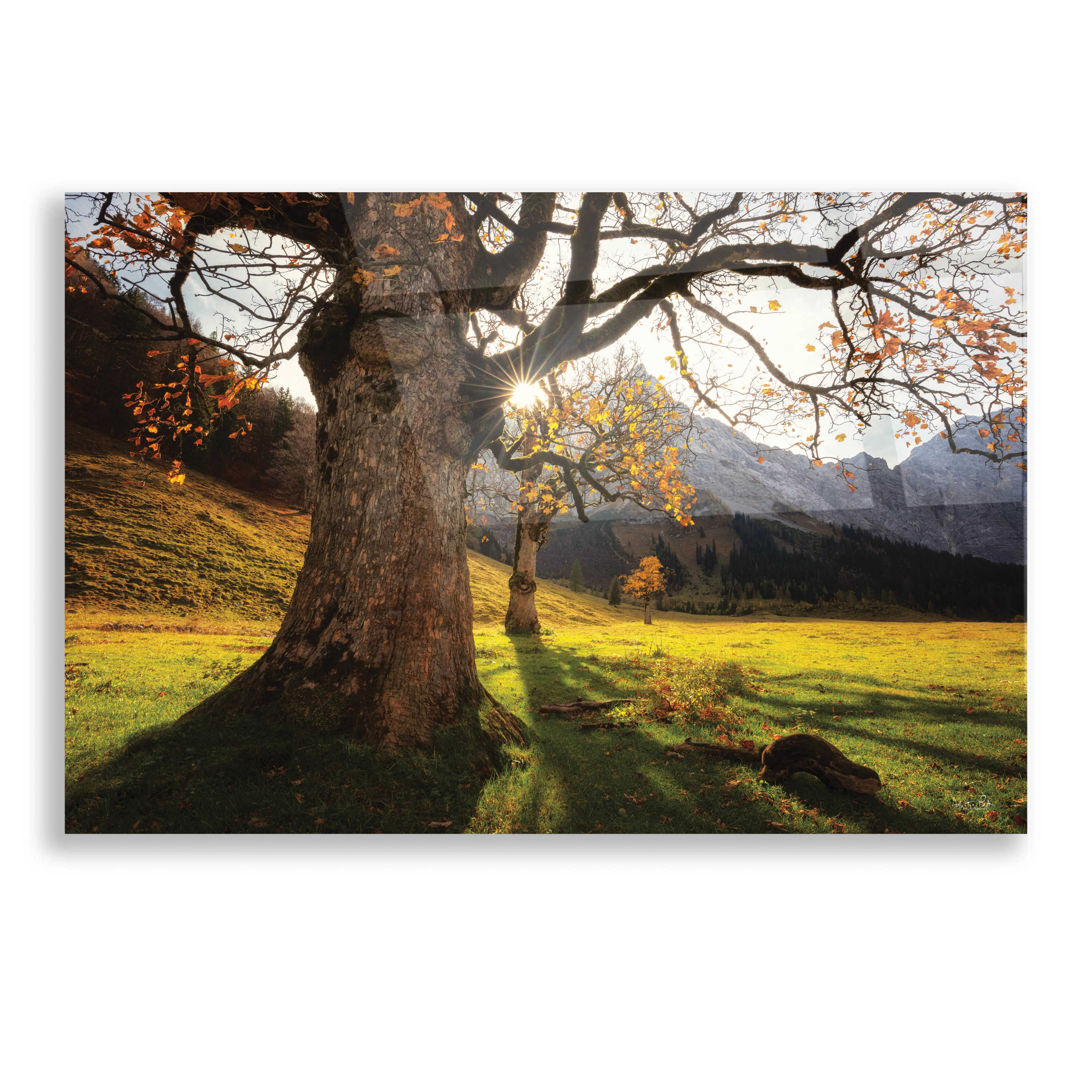 Millwood Pines The Star by Martin Podt - Unframed Print - Wayfair Canada