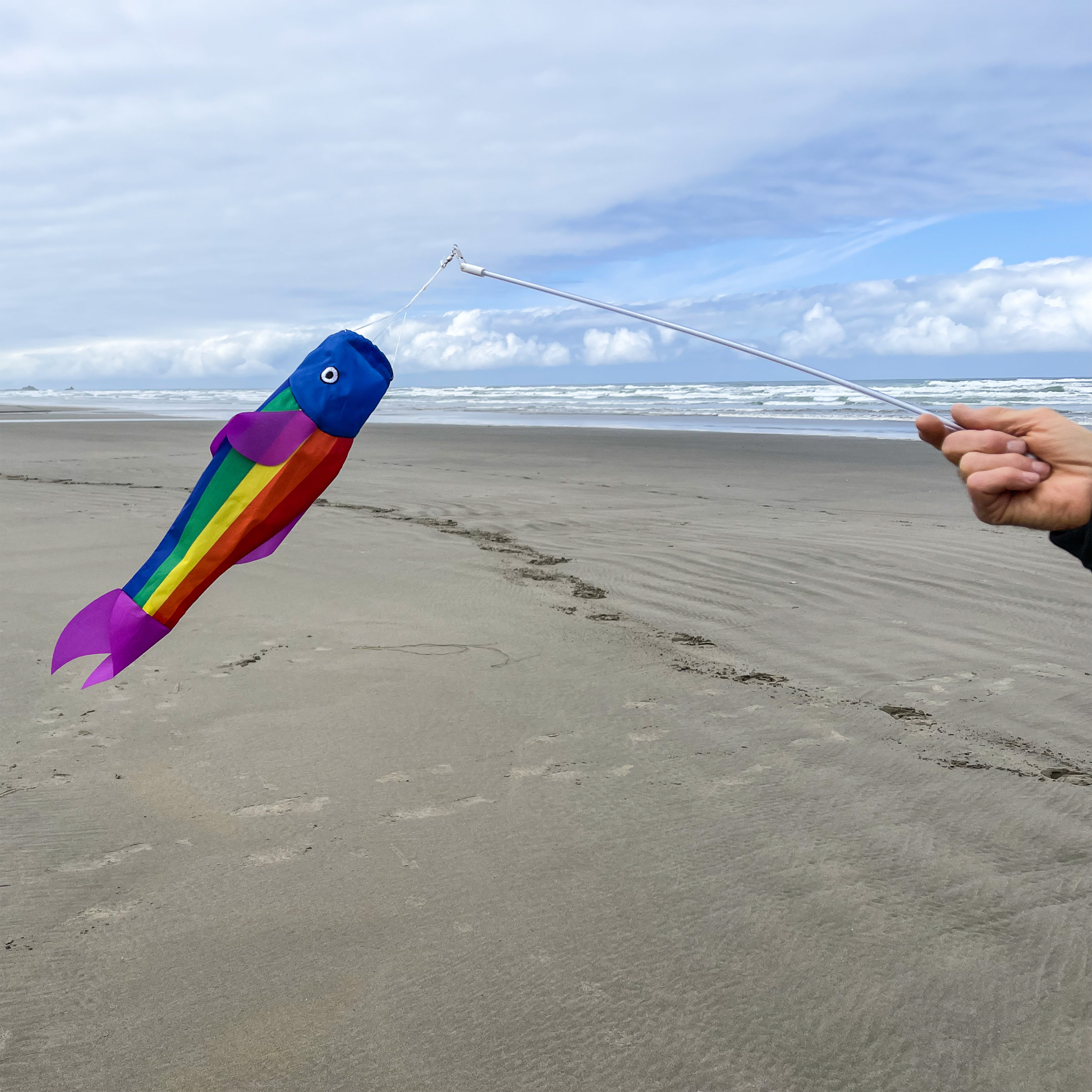 Dovecove In the Breeze 18-Inch Rainbow Trout Fish Windsock - 24-Inch ...