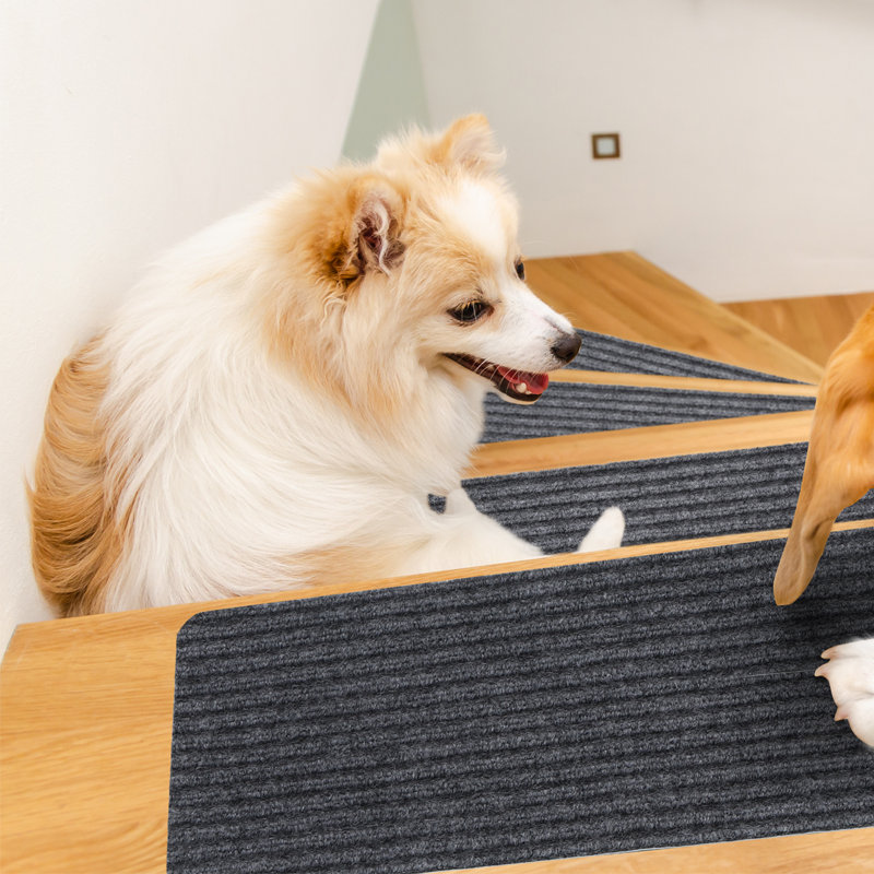 Ebern Designs Quadell Non-Slip Indoor Stair Tread | Wayfair