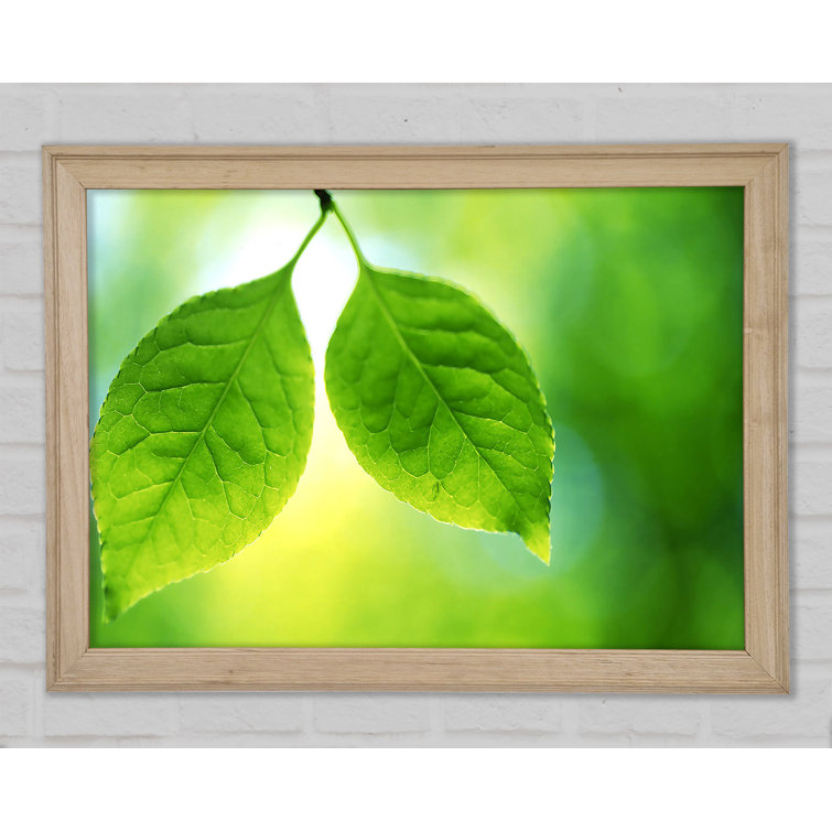 Ebern Designs Single Picture Frame Print | Wayfair.co.uk
