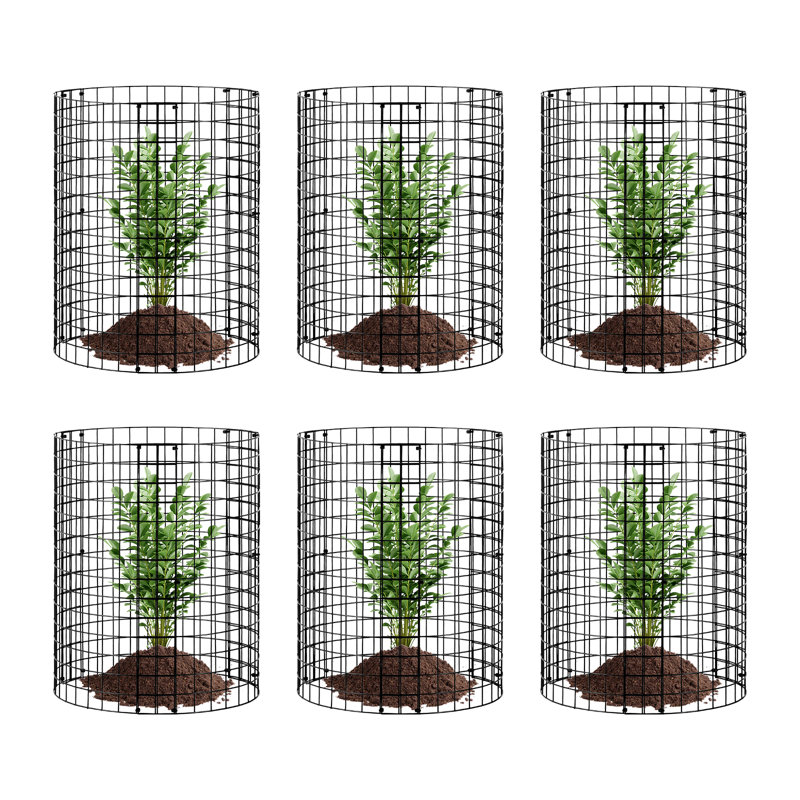 17 Stories Beland Metal Plant Support | Wayfair