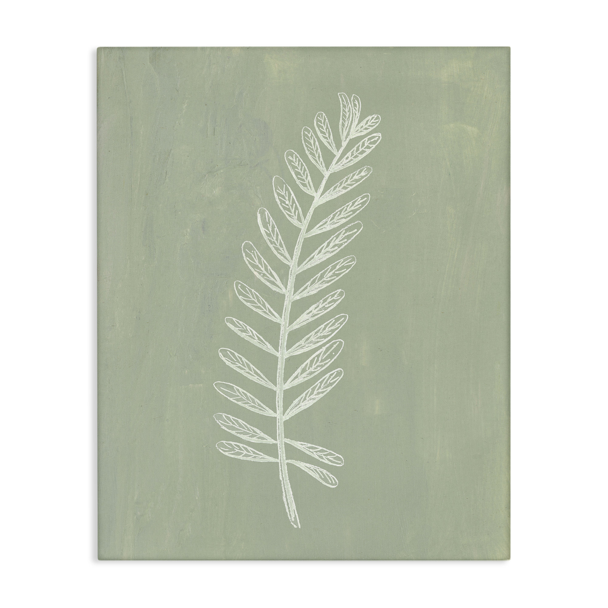 Winston Porter Simple Fern Impression Canvas Wall Art by Patricia Pinto ...