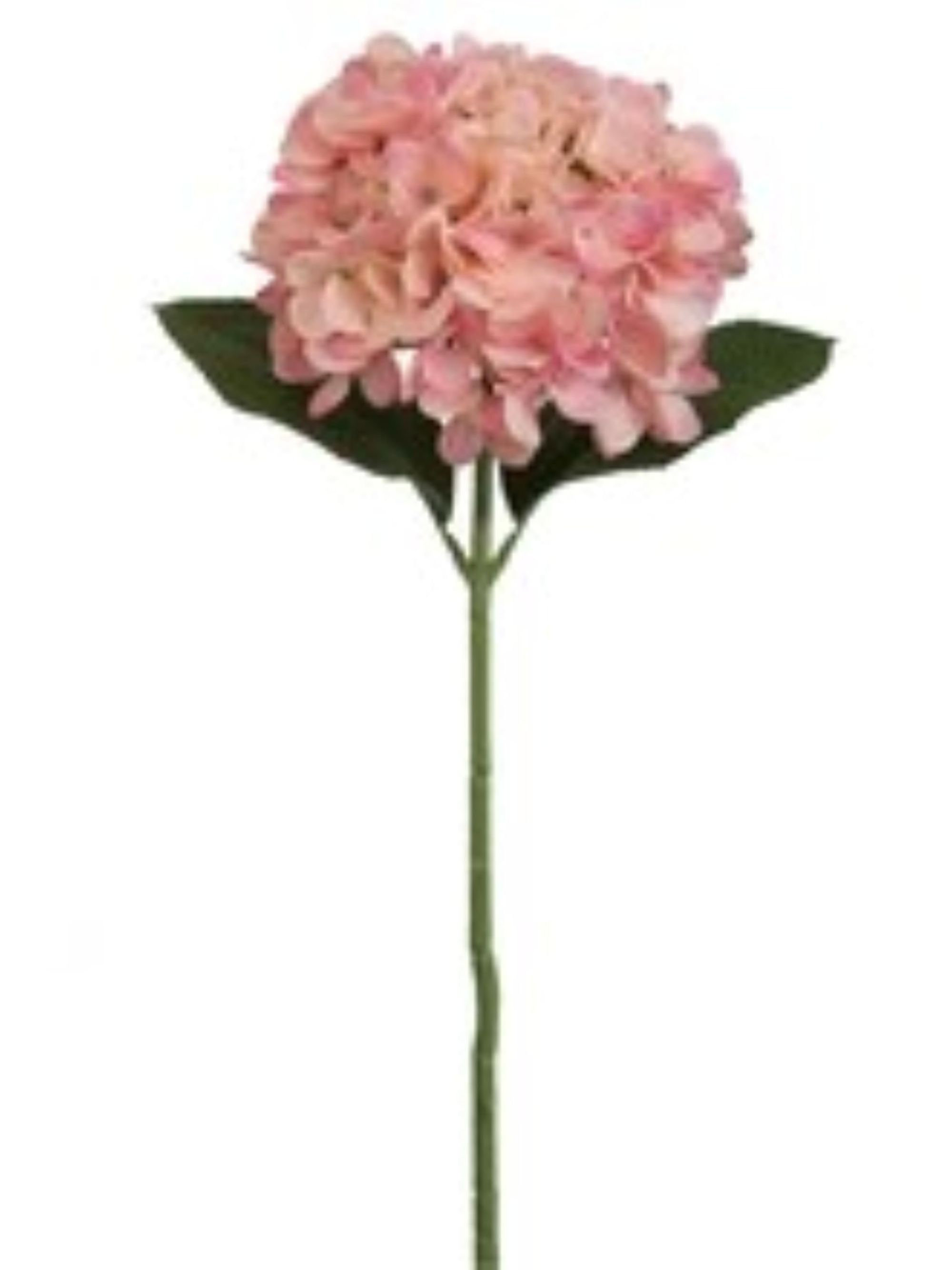 Mercer41 Romantic 18-inch Pink Hydrangea Stem - Charming 7-inch ...