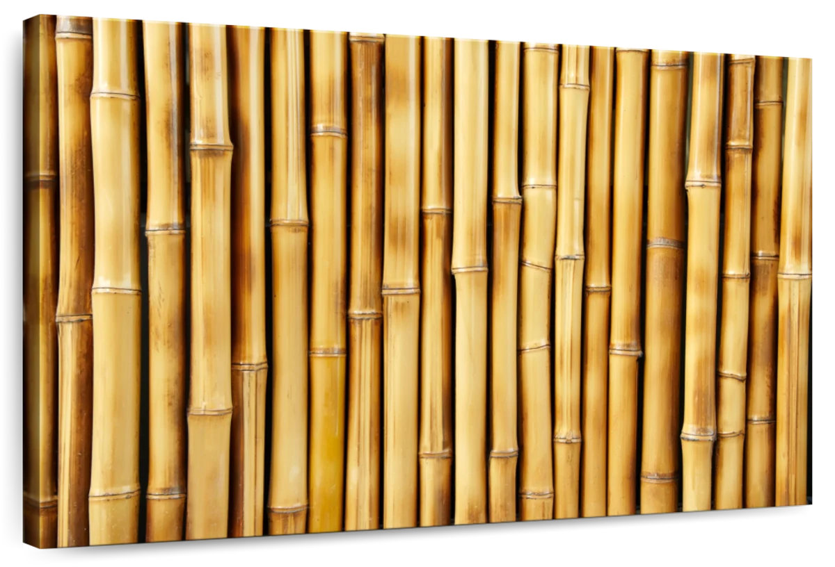 Lark Manor Harnek Brown Bamboo Fence - Wayfair Canada