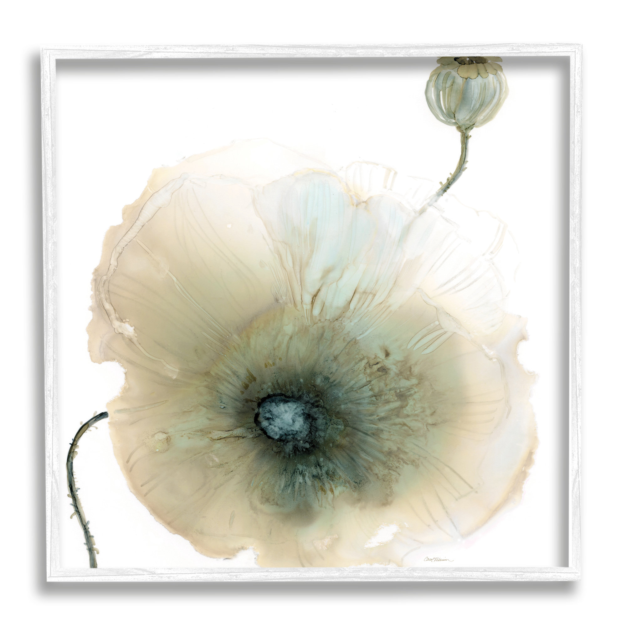 Winston Porter Modern Poppy Flower Blossom Composition by Carol ...