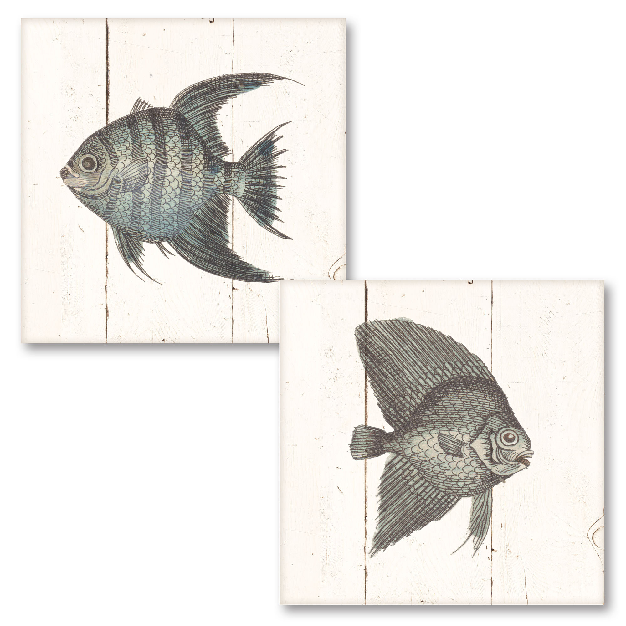 Bay Isle Home™ 'Fish Sketches Shiplap II & III' 2 Piece Drawing Print ...