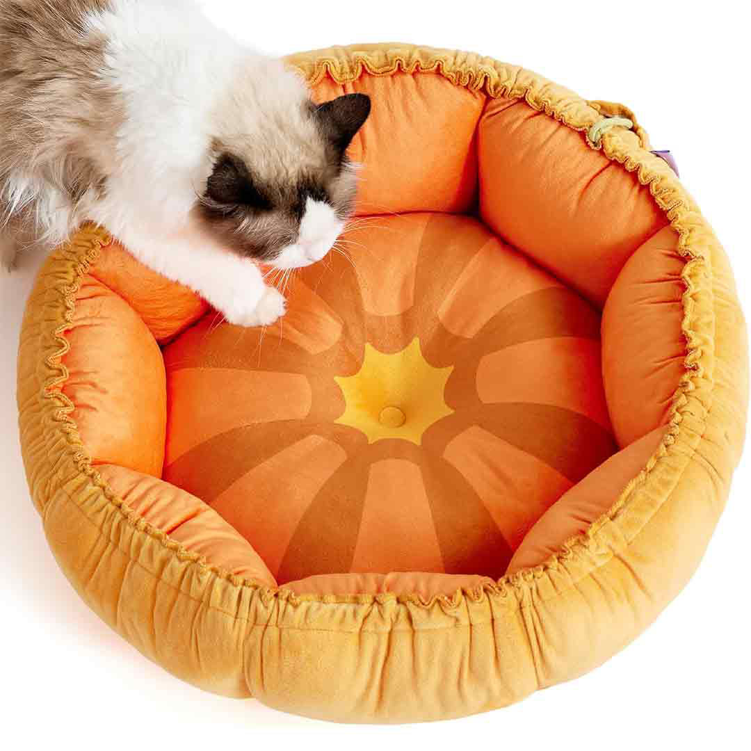 Stunver Cat Beds For Indoor Cats - Washable Cute Cat Beds With ...