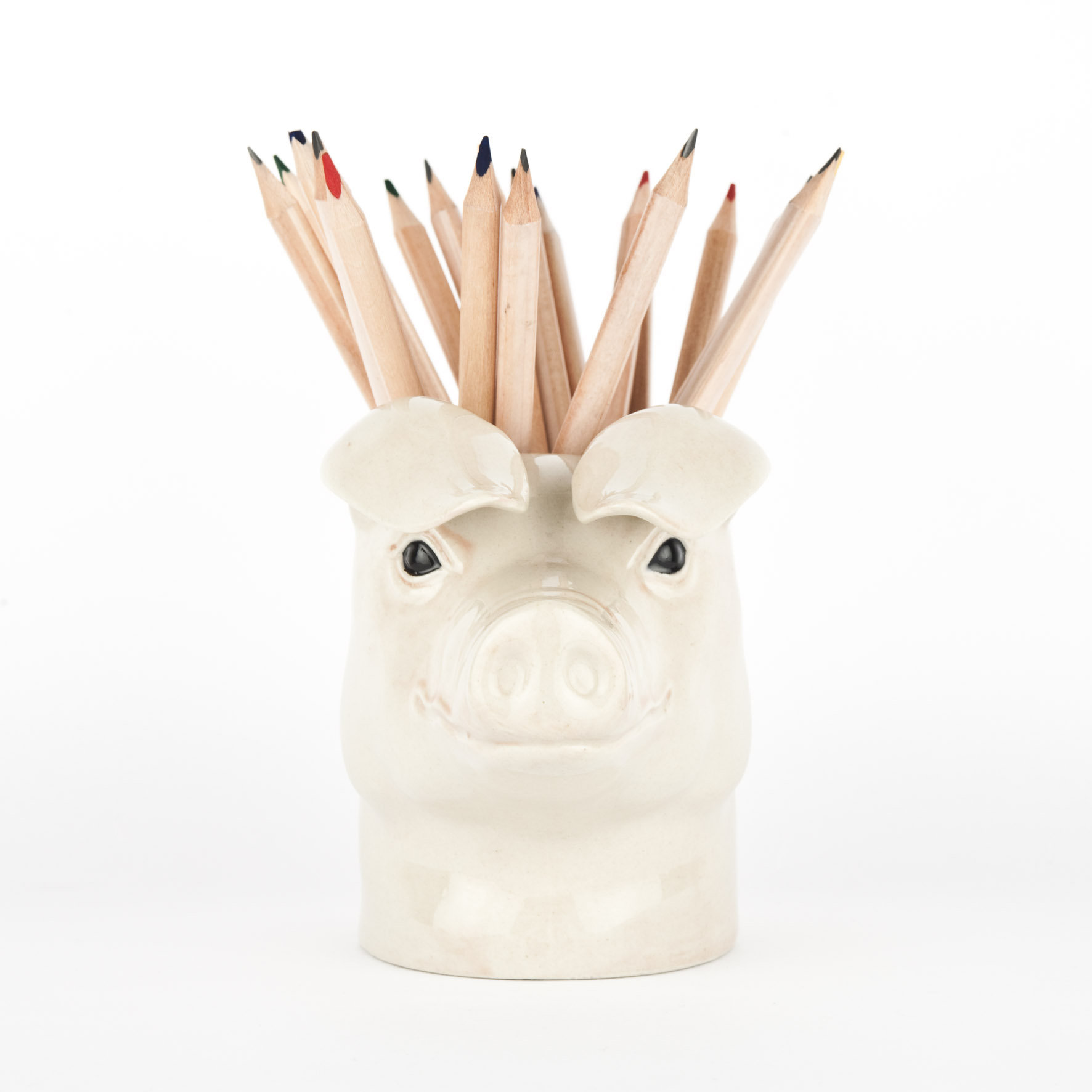 Quail Pencil Pot - Pig - British Lop Pig | Perigold