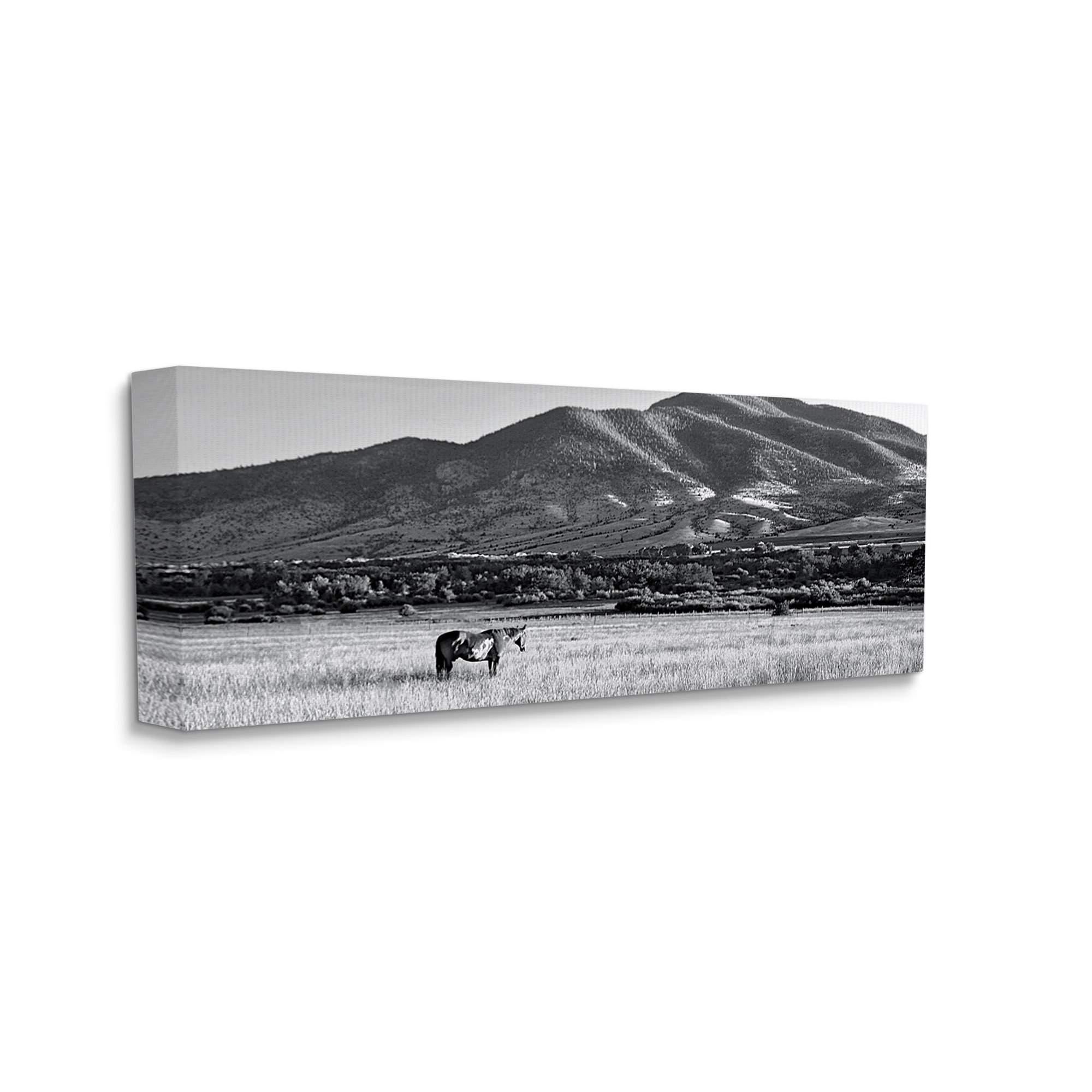 Stupell Industries Horse In Mountains by Steve Toole Print | Wayfair